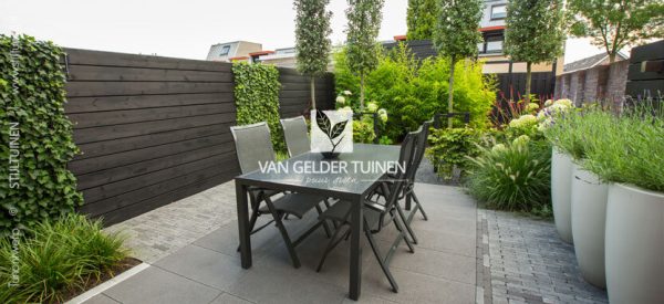 Ontwerp, kleine tuin met moderne erfafscheiding • Van Gelder Tuinen